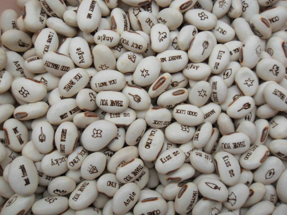 Magic Beans - The Magical Gift – ChhajedGarden.com