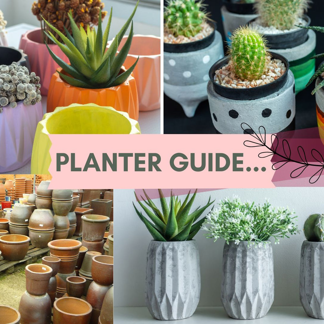 Planter Guide – ChhajedGarden.com