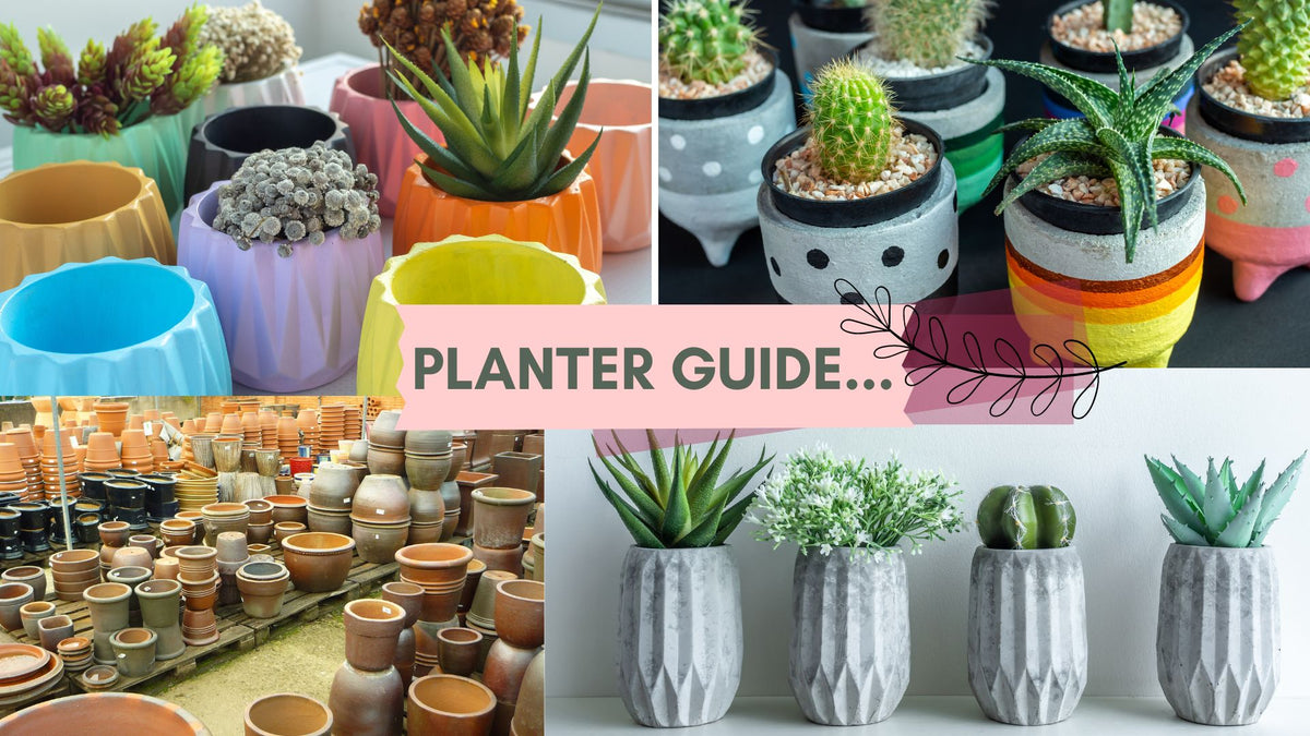 Planter Guide – ChhajedGarden.com