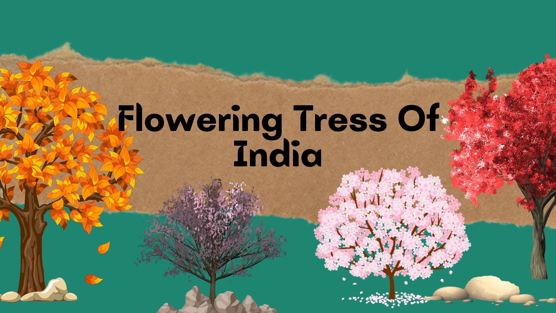 Flowering Trees of India: Top 10 Stunning and Beautiful Trees ...