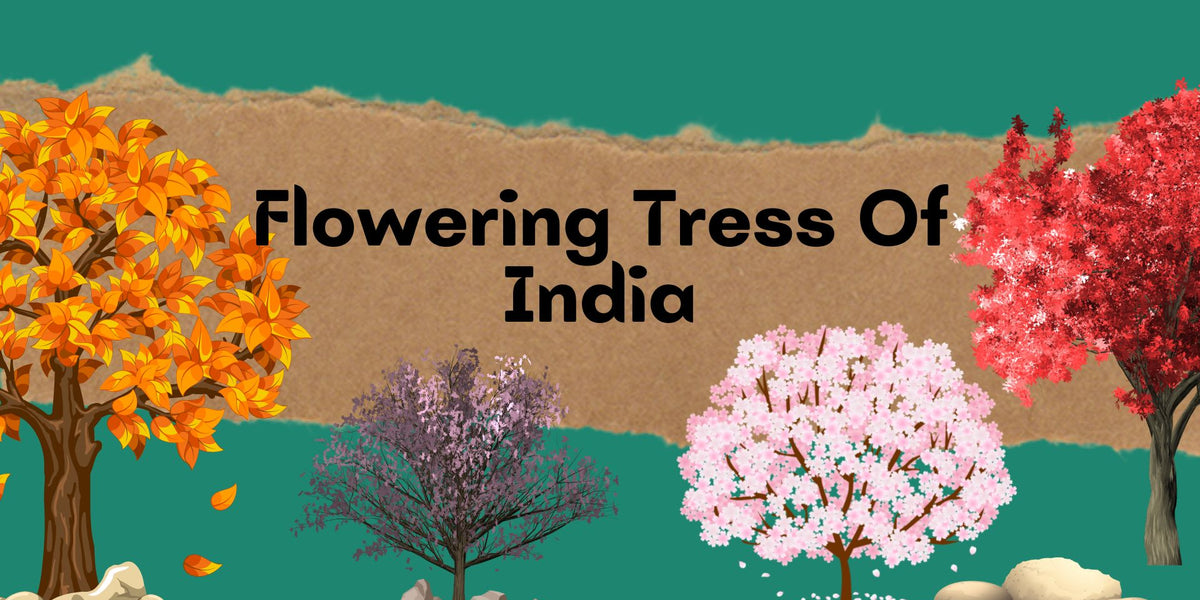 Flowering Trees of India: Top 10 Stunning and Beautiful Trees ...