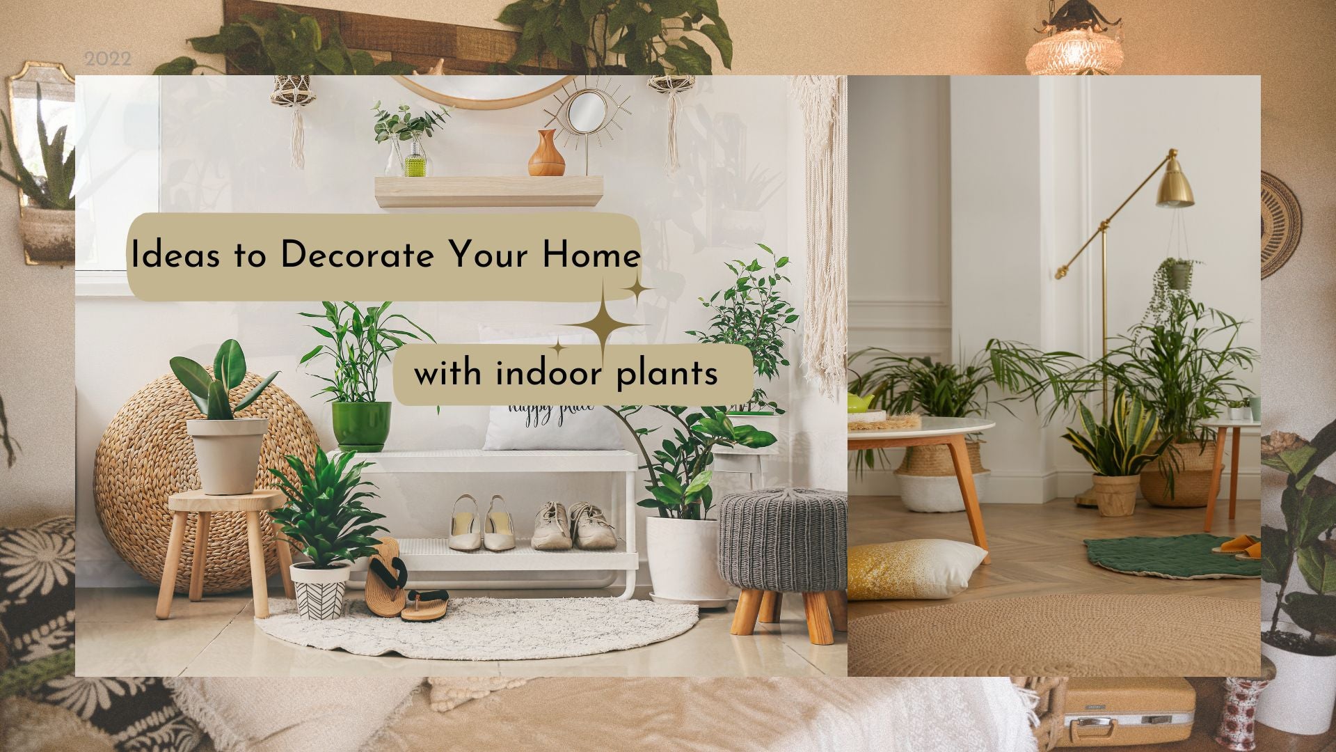 Ideas to Decorate Your Home with Indoor Plants – ChhajedGarden.com