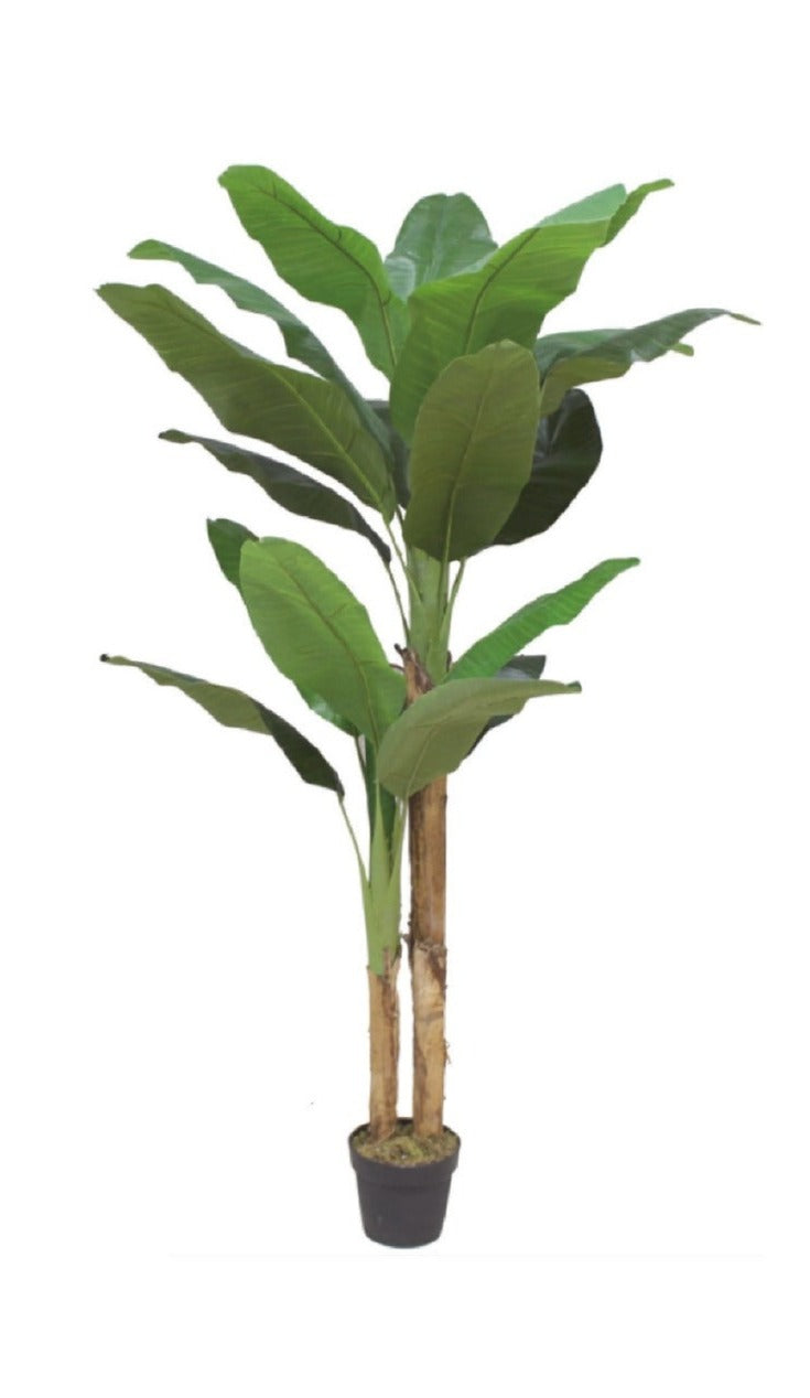 Artificial Banana Plant (Without Pot), Height -5 ft – ChhajedGarden.com