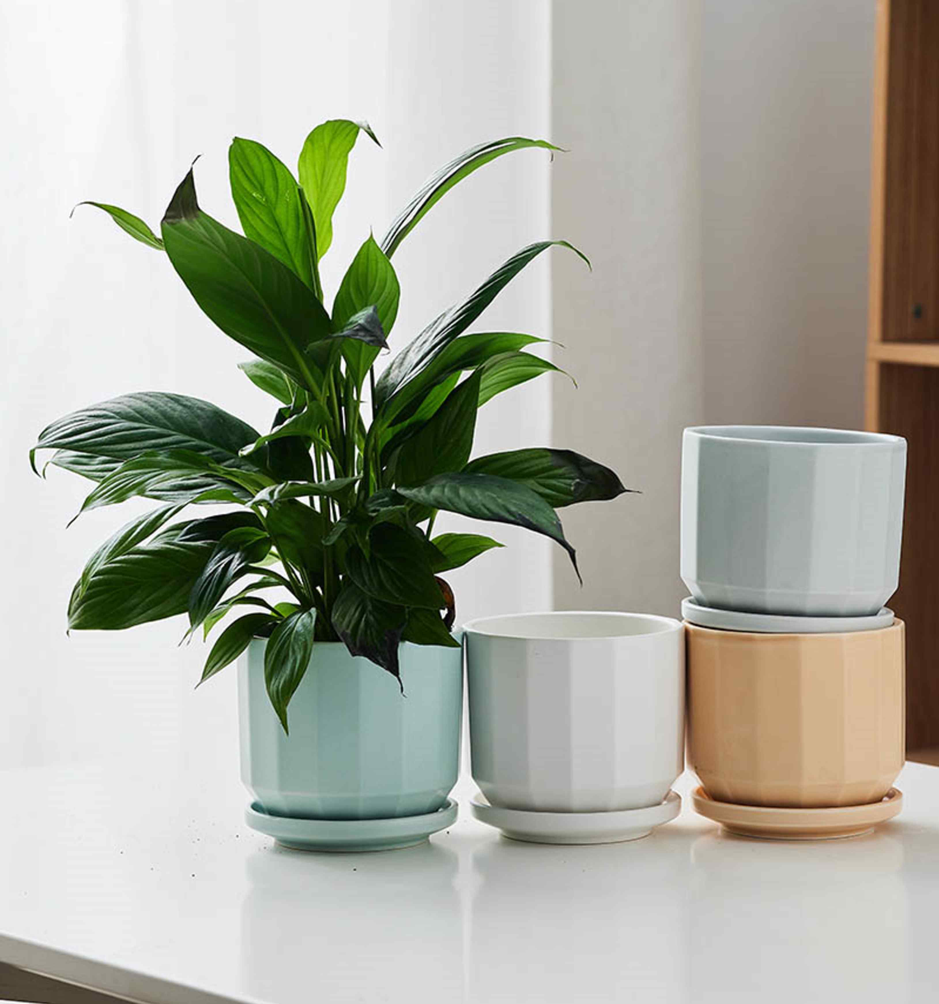 Faceted Pastel Ceramic Planters with Saucers – Modern Round Indoor Pots ...