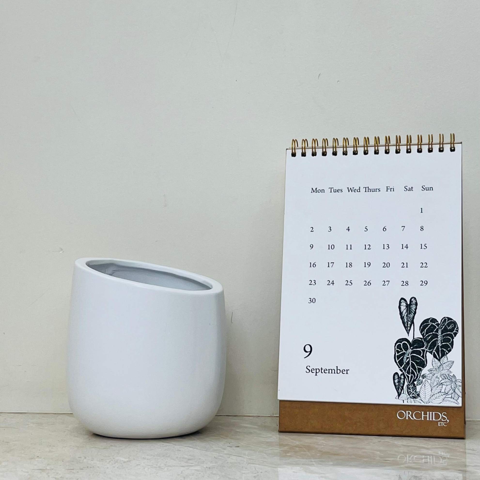 Modern Slant Top White Ceramic Planter - Minimalist Indoor Plant Pot ...