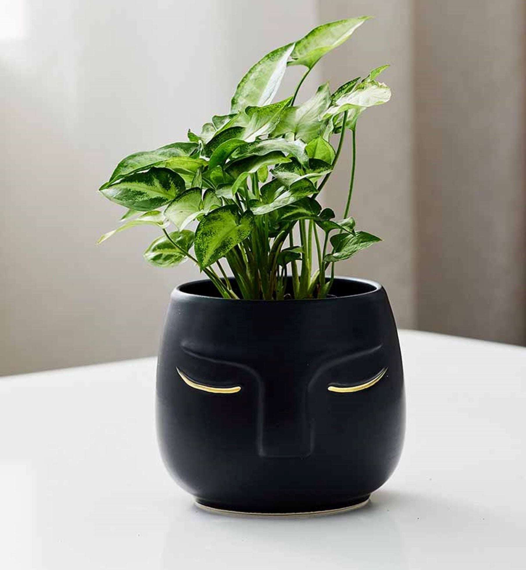 Black Ceramic Face Planter with Gold Accents for Indoor Plants ...