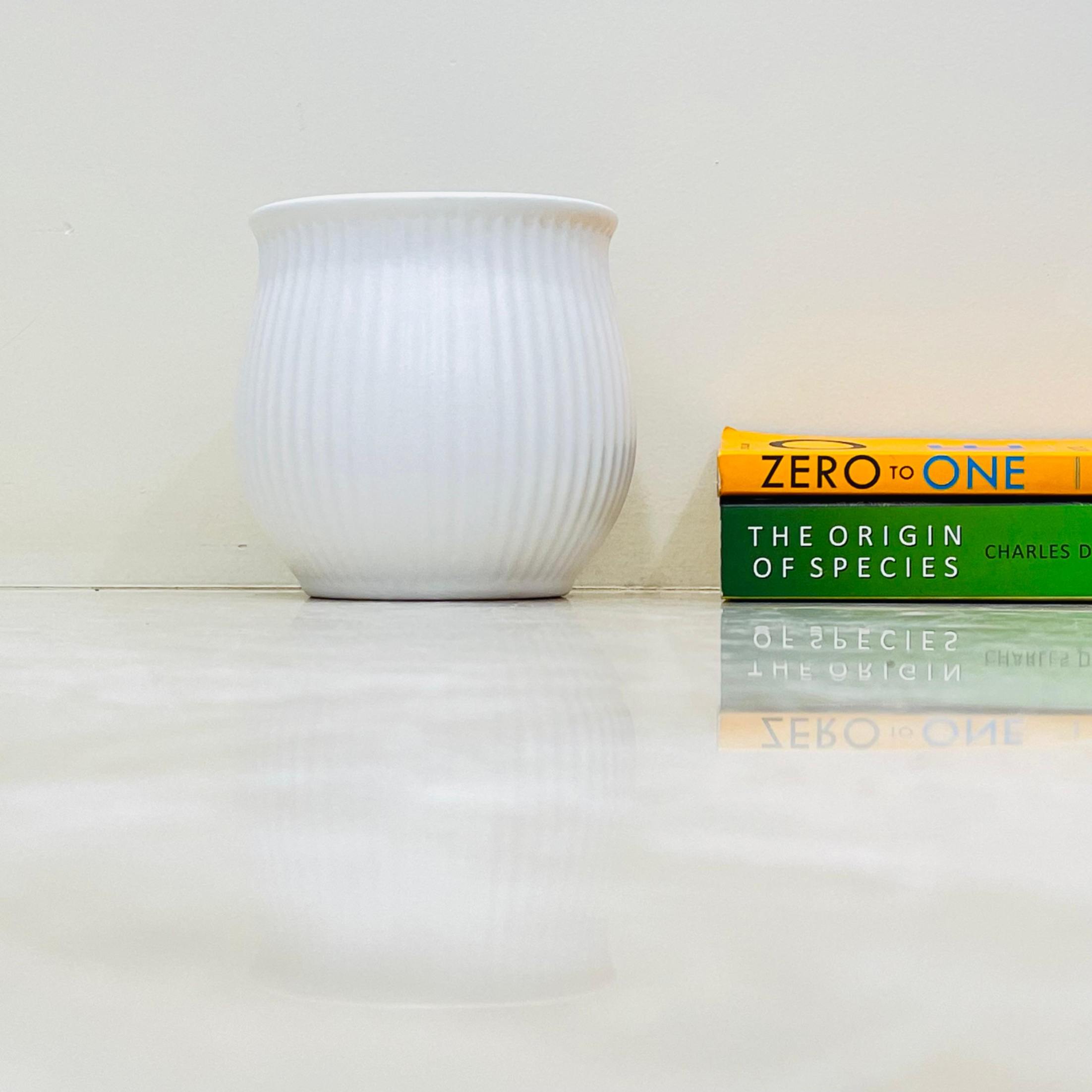 Modern Ribbed White Ceramic Planter – Stylish Indoor Plant Pot ...