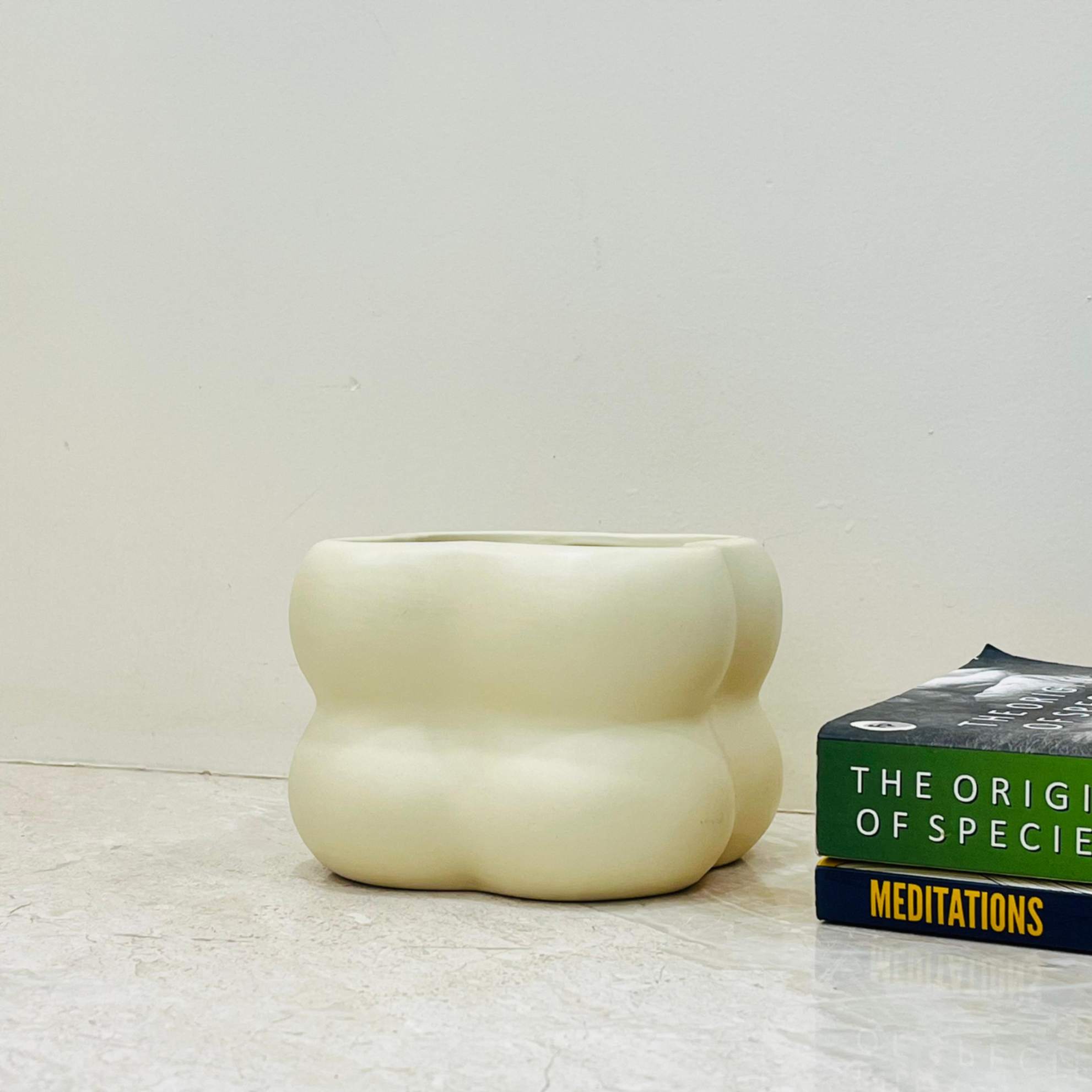 Buy Curvy Cream Ceramic Planter – Organic Shape Pot for Indoor Plants ...