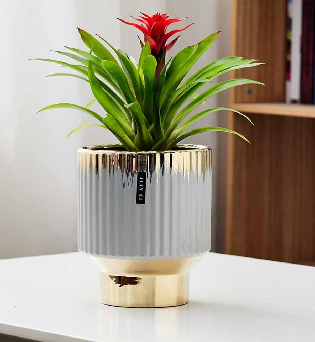 Buy Luxury Gold & Silver Ceramic Pot for Indoor Plants – ChhajedGarden.com