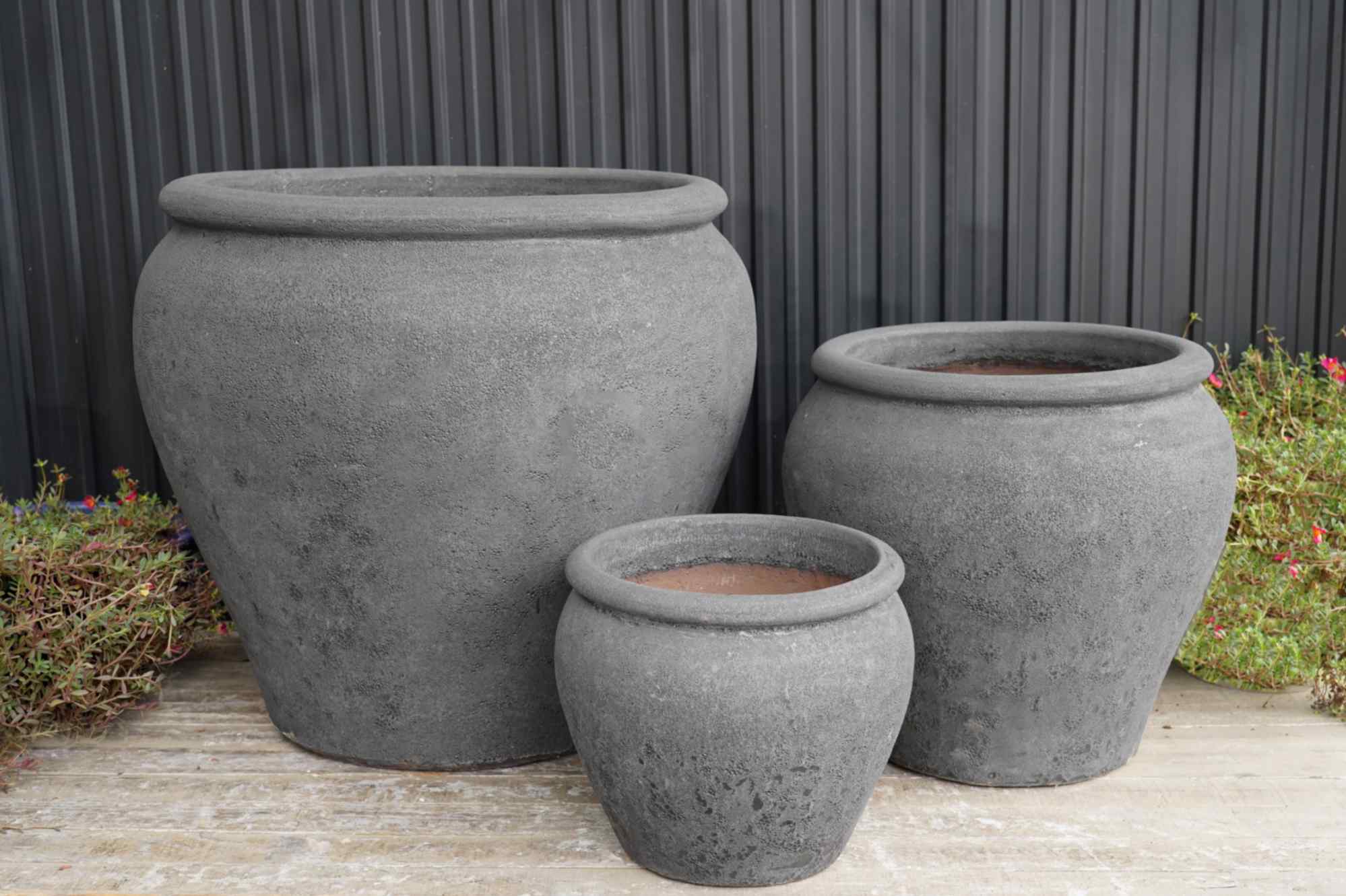 Large Black Round Ceramic Pots with Matte Finish – ChhajedGarden.com
