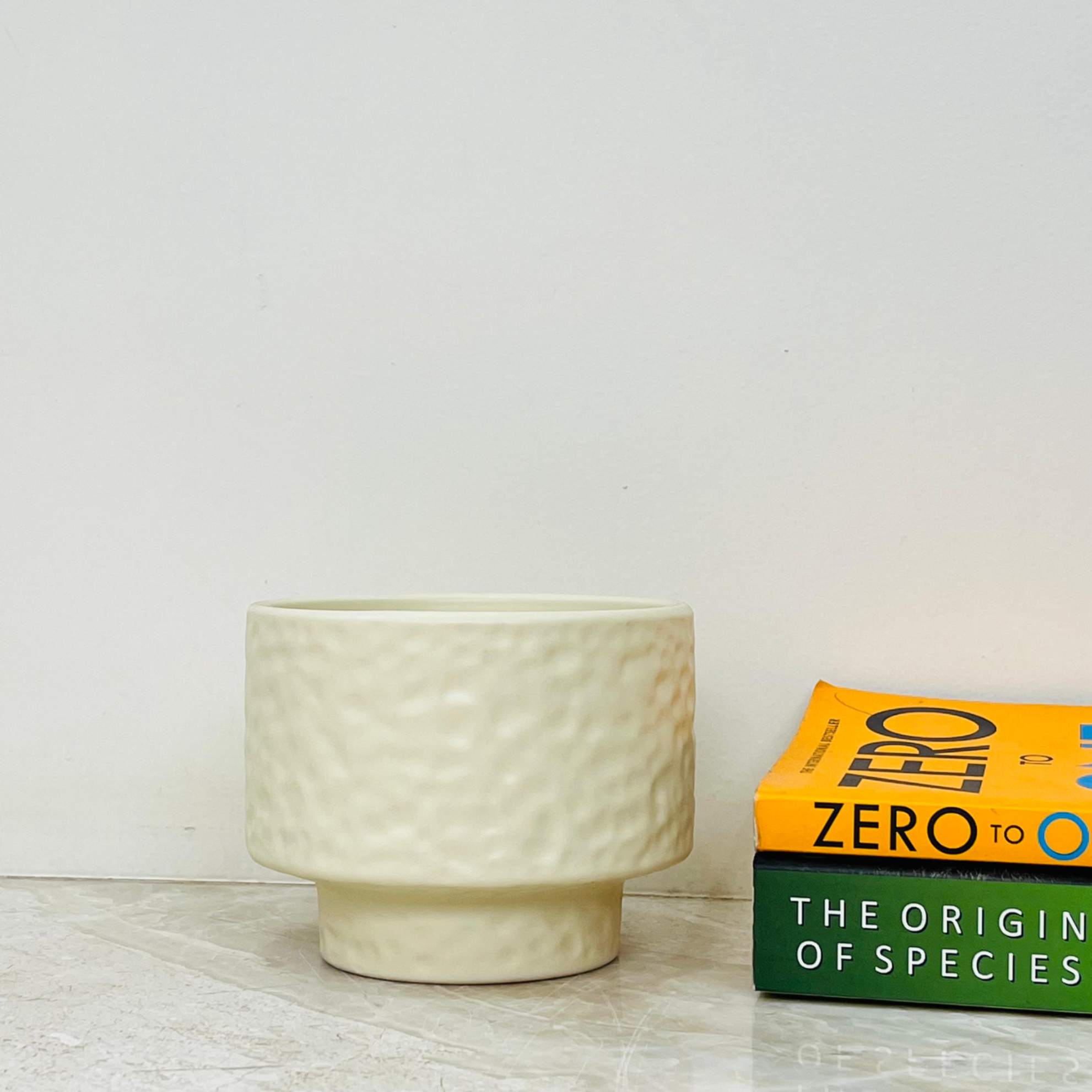 Textured Cream Ceramic Planter with Pedestal Base | Modern Indoor Plant ...