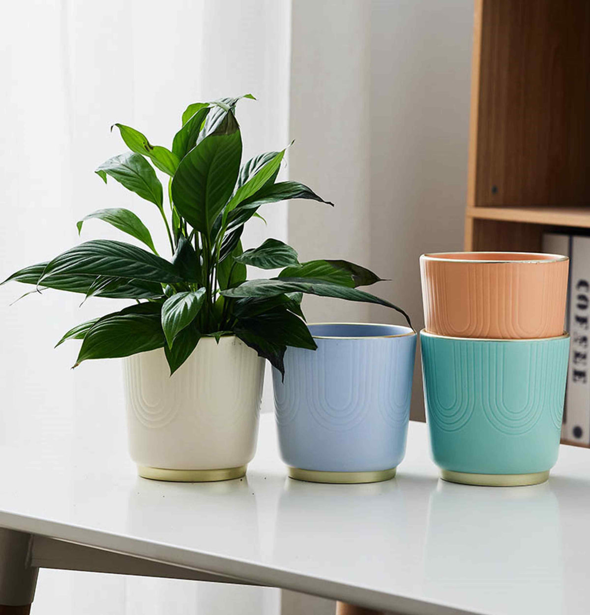 Modern Embossed Ceramic Planters - Pastel Colors & Gold Base ...