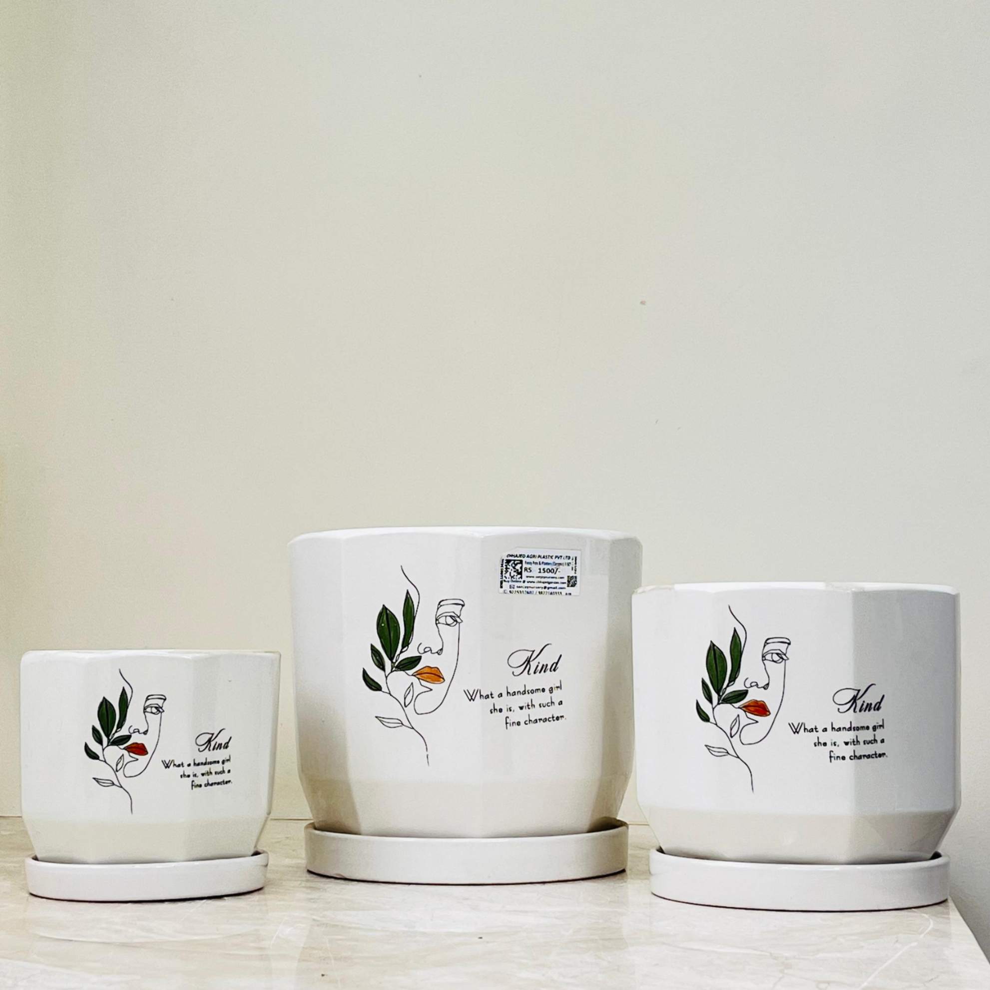 Artistic Line Art Ceramic Planter Set Of 3 | Modern Indoor Pots ...