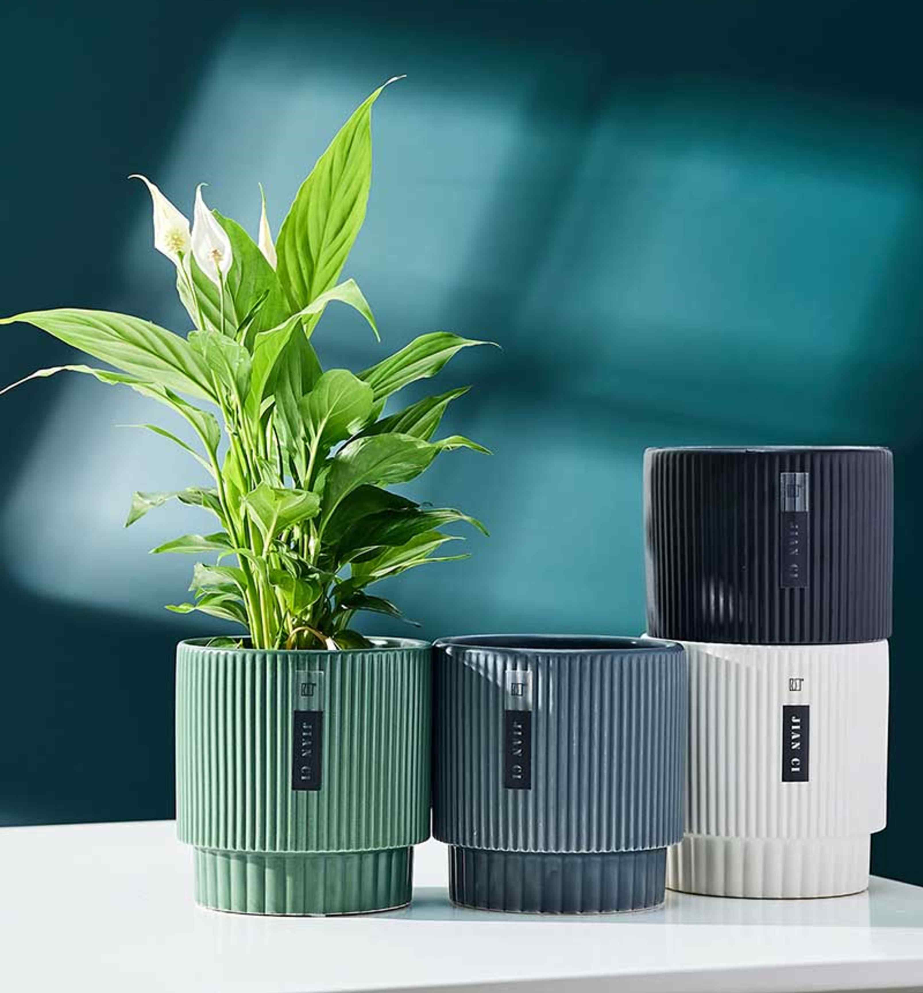 Elegant Ribbed Ceramic Planter | Stylish Indoor-Outdoor Décor ...