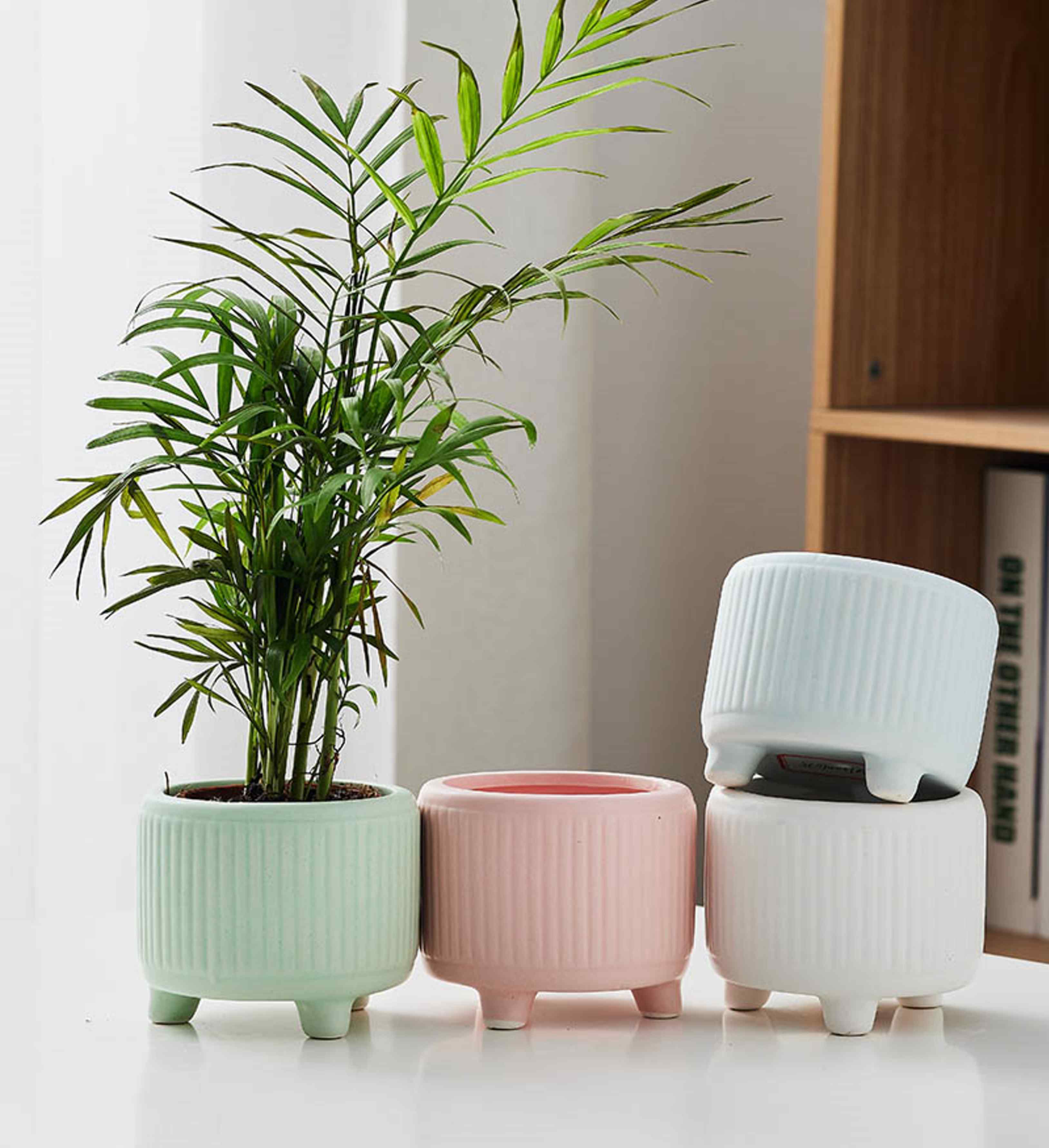 Pastel Ceramic Indoor Flower Pots with Vertical Ridges - Small Planters ...