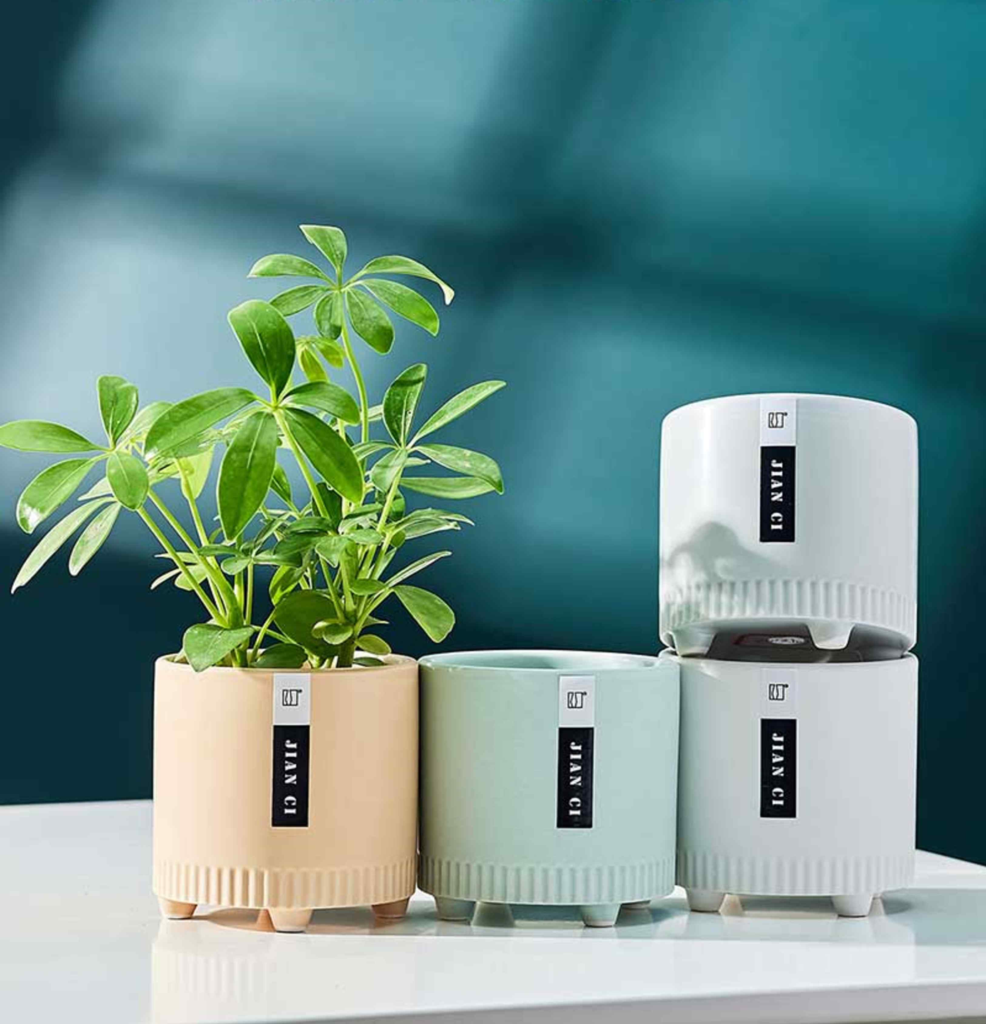 Pastel Cylindrical Ceramic Planters – Modern Tabletop Pots with Legs ...