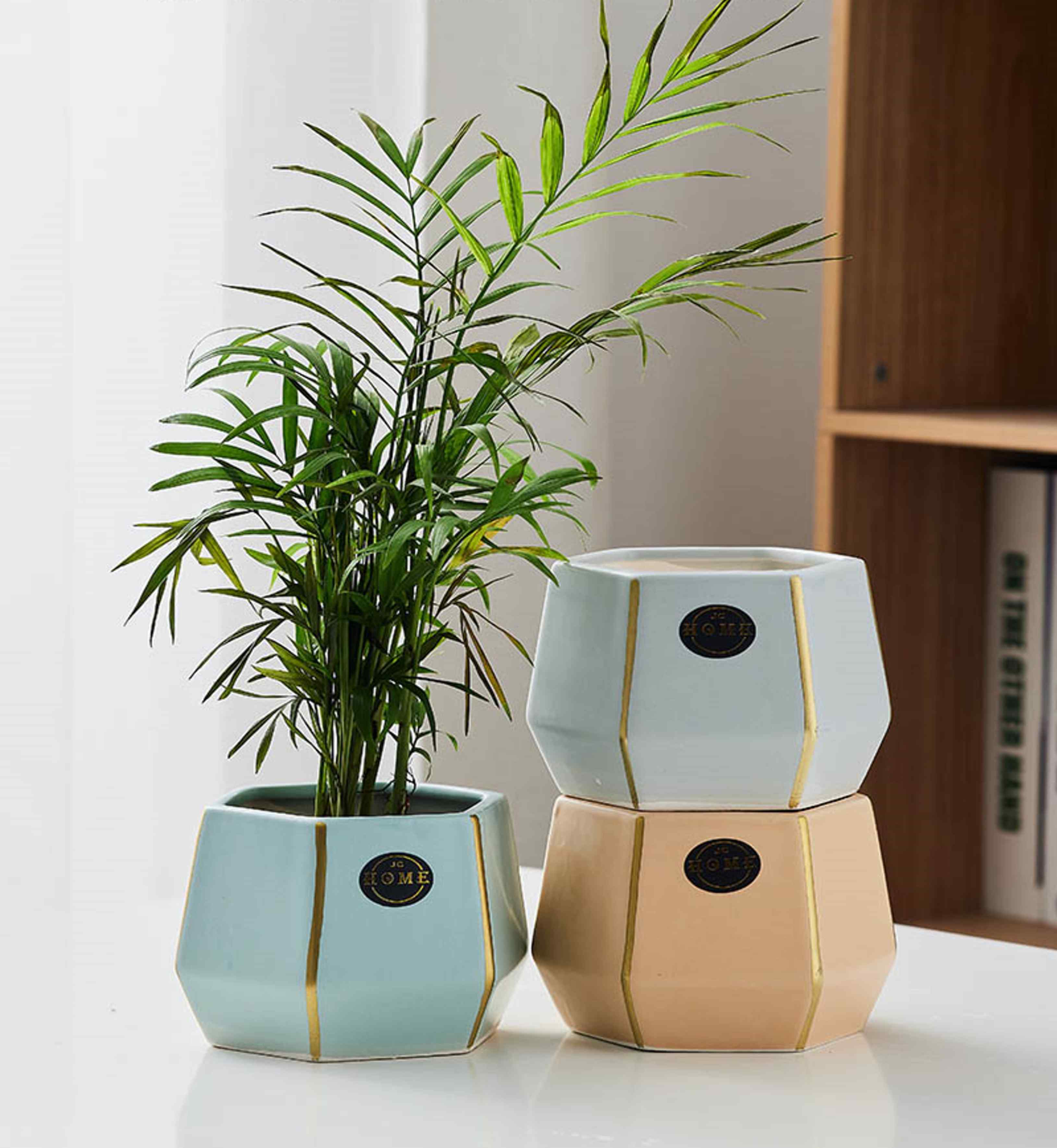Pastel Geometric Ceramic Planters – Modern Gold-Accented Flower Vases ...