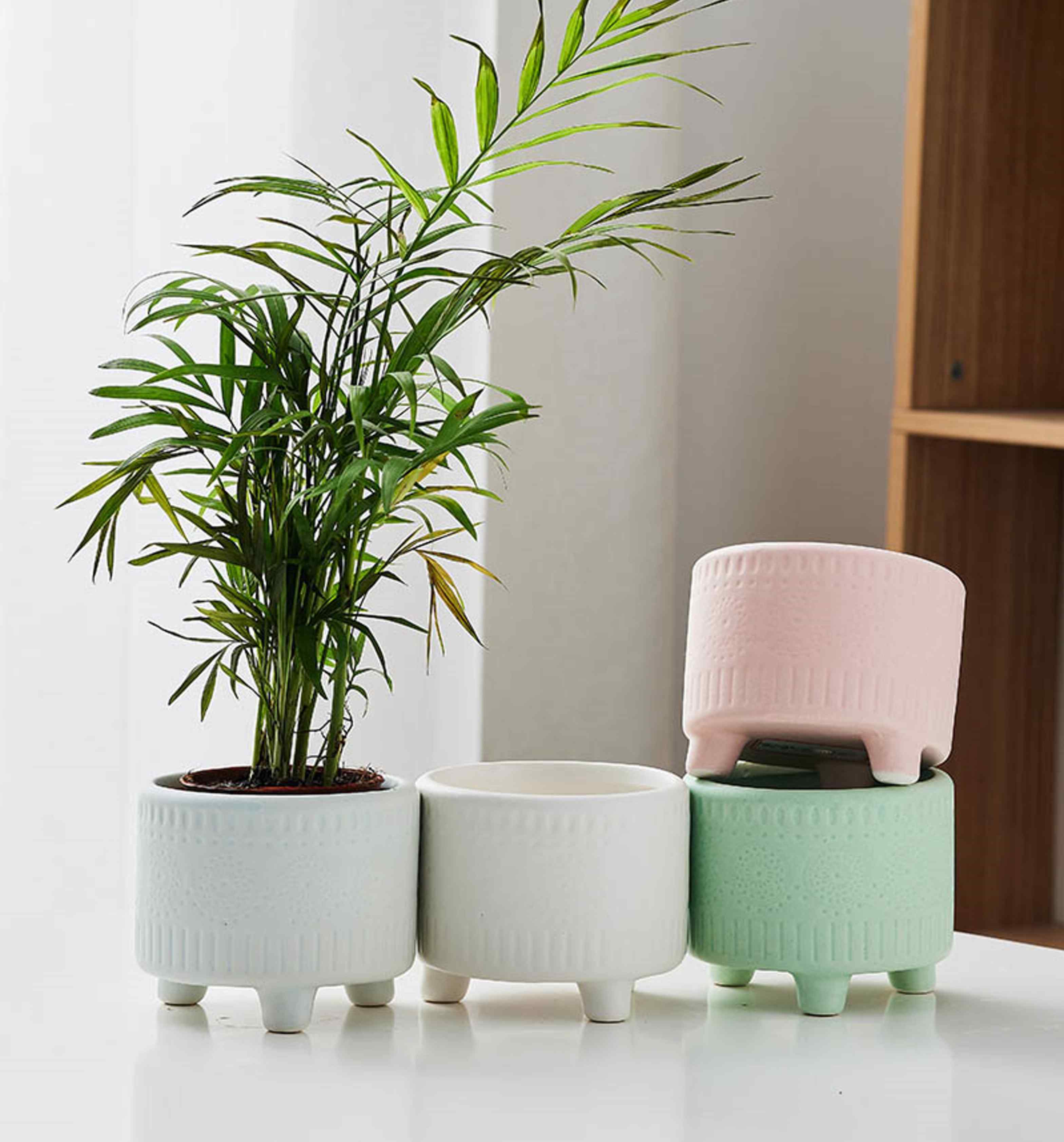 Pastel Textured Ceramic Indoor Flower Pots - Small Succulent Planters ...