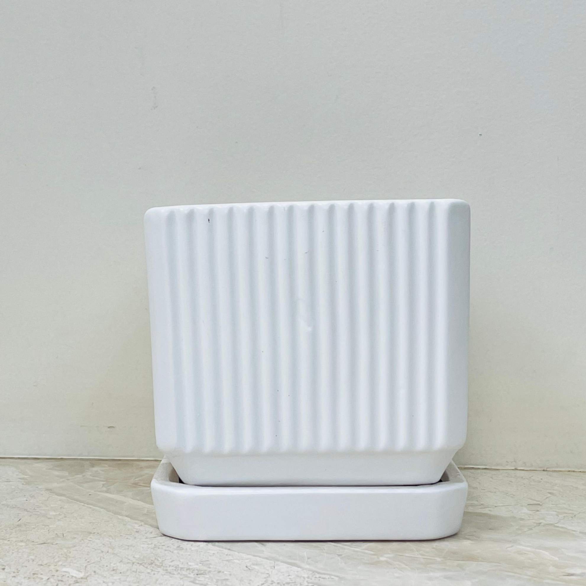 Rectangular White Ribbed Ceramic Planter with Tray - Modern Indoor ...