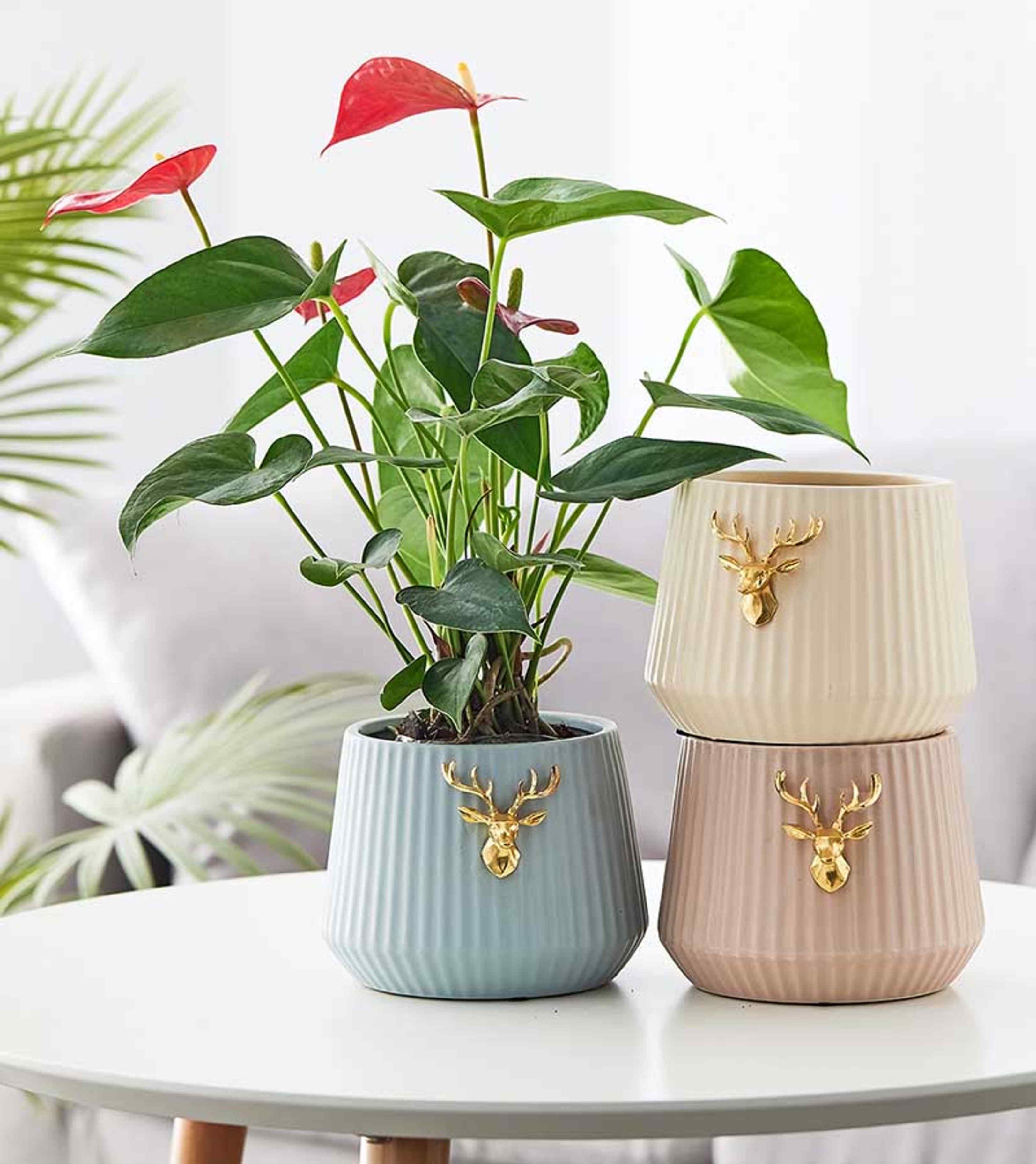 Buy Gold Deer Embellished Ribbed Ceramic Pots - Modern Indoor Planters ...