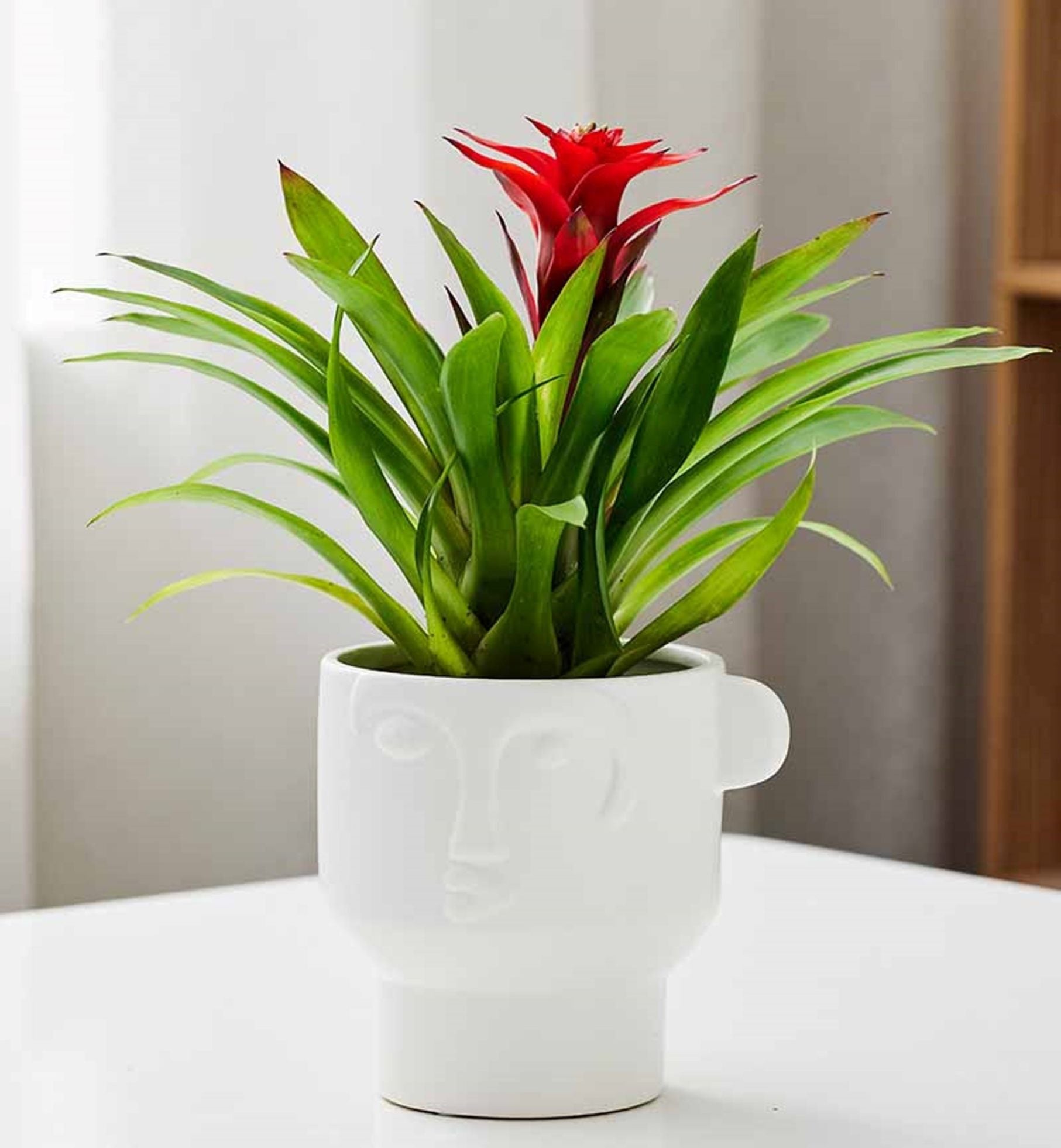 White Ceramic Planter with Sculpted Face Design – Artistic Indoor Pot ...