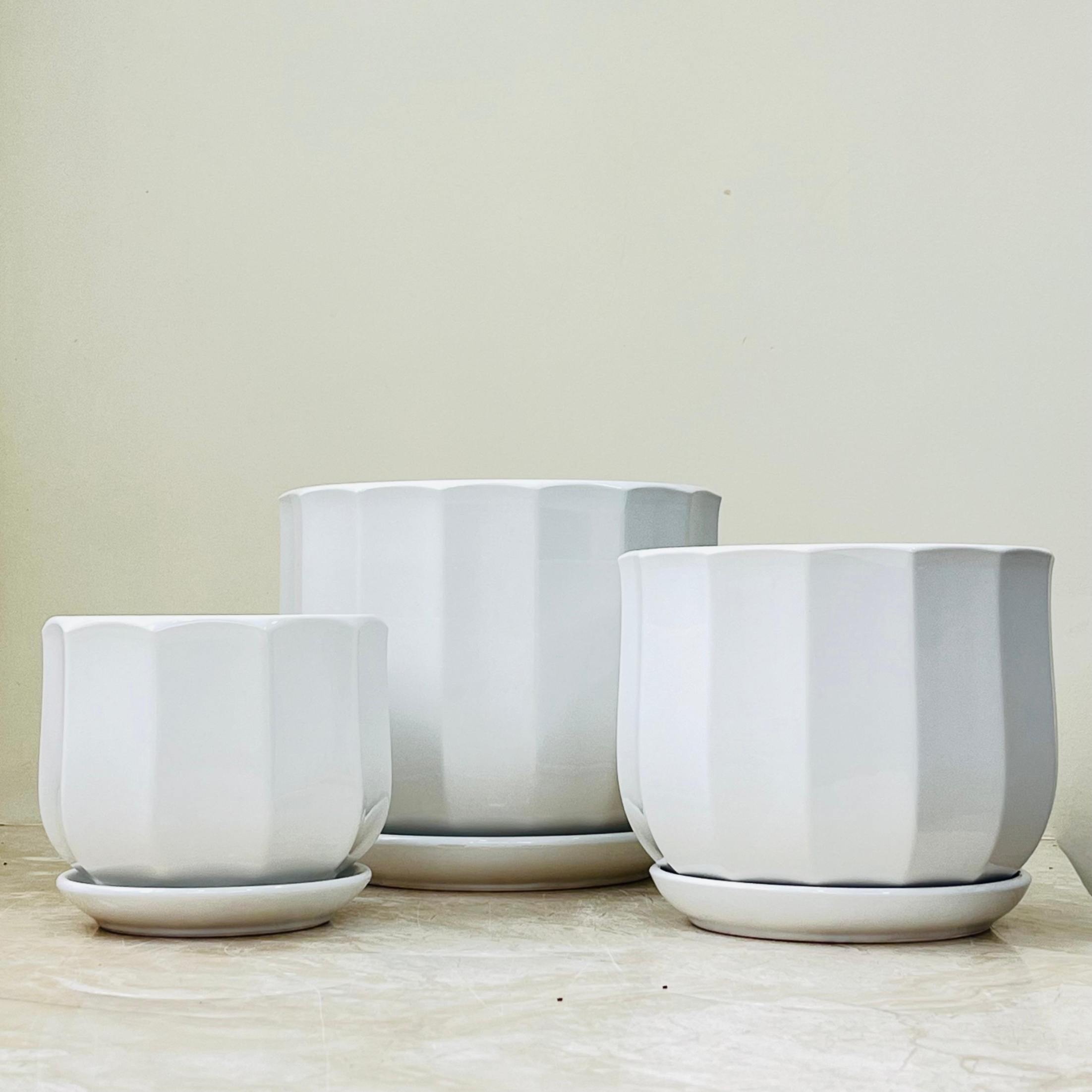 White Fluted Ceramic Pot Set | Elegant Indoor Planters – ChhajedGarden.com