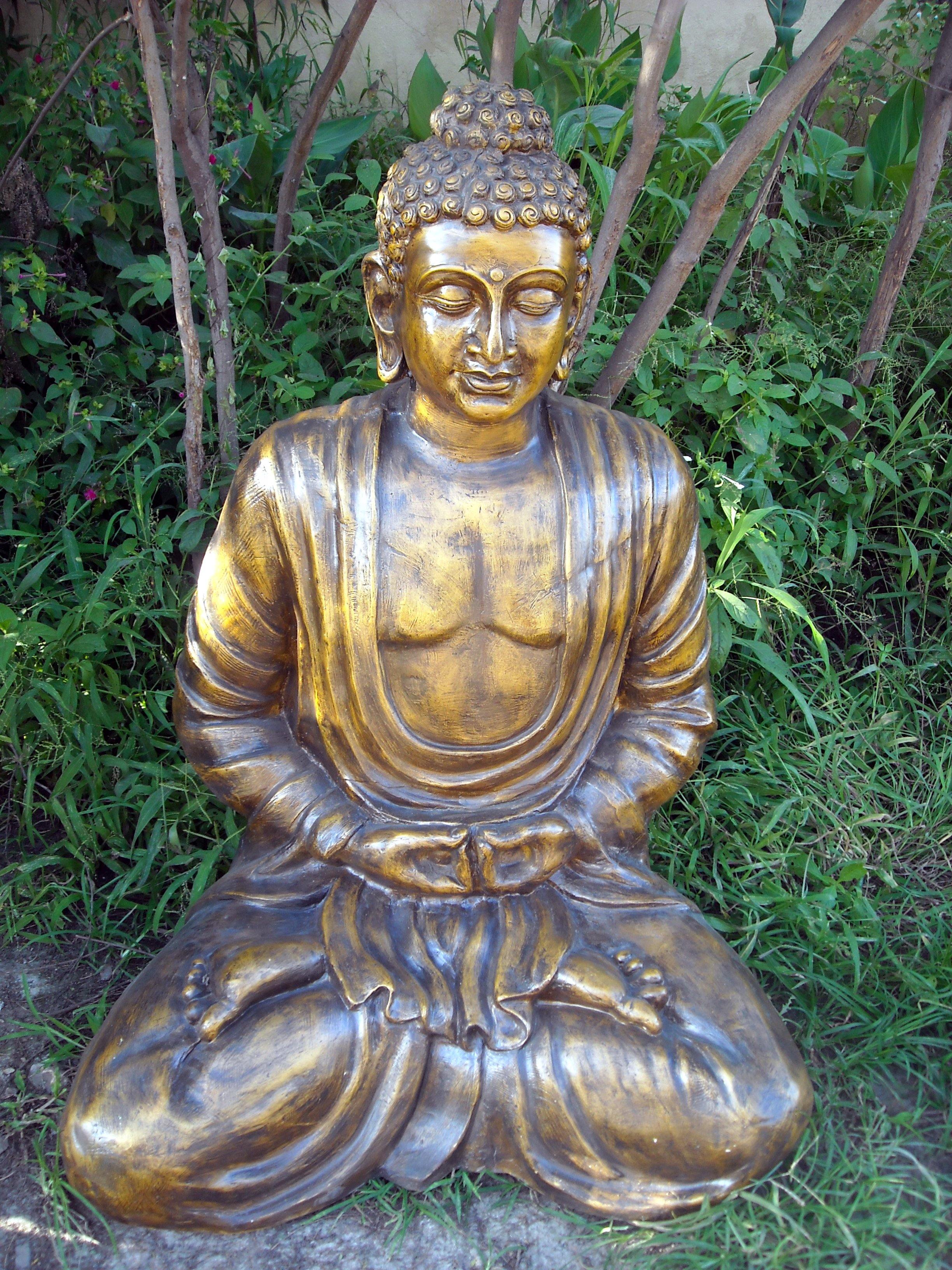 Budhha Sitting – ChhajedGarden.com