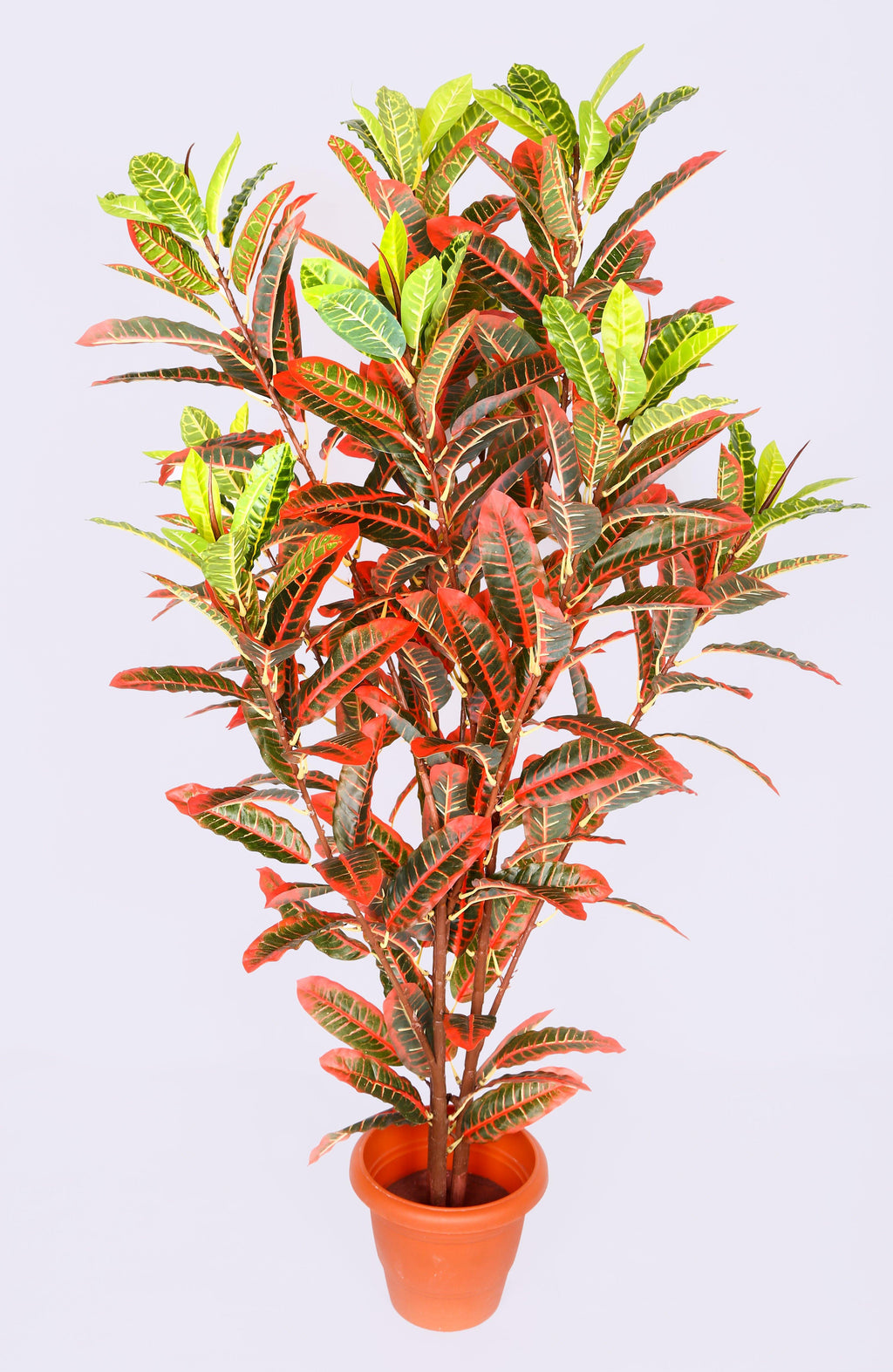 Colorful Artificial Plants – ChhajedGarden.com