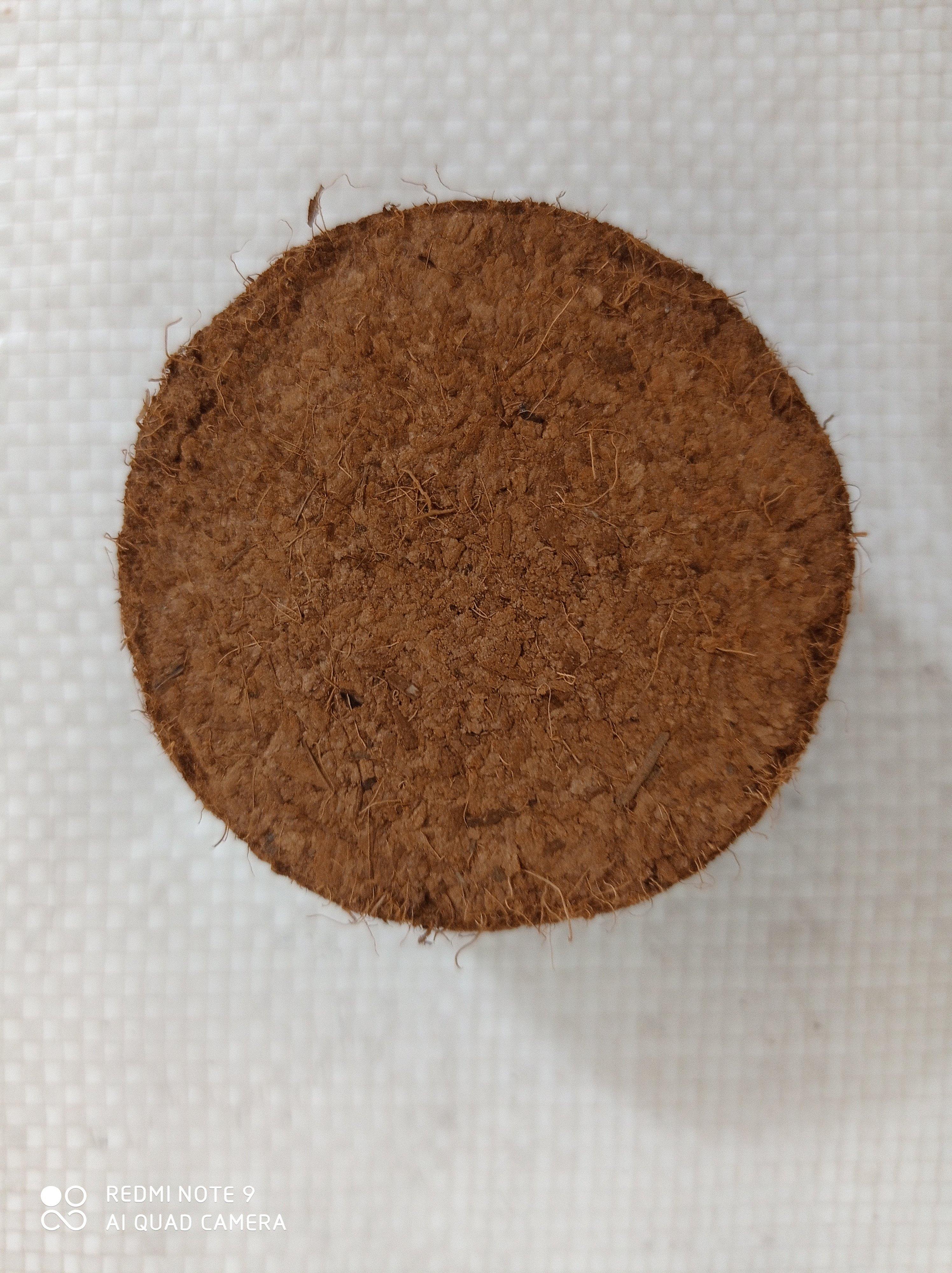 Seed Sowing Coco Plugs 50 mm (Pack of 25) – ChhajedGarden.com