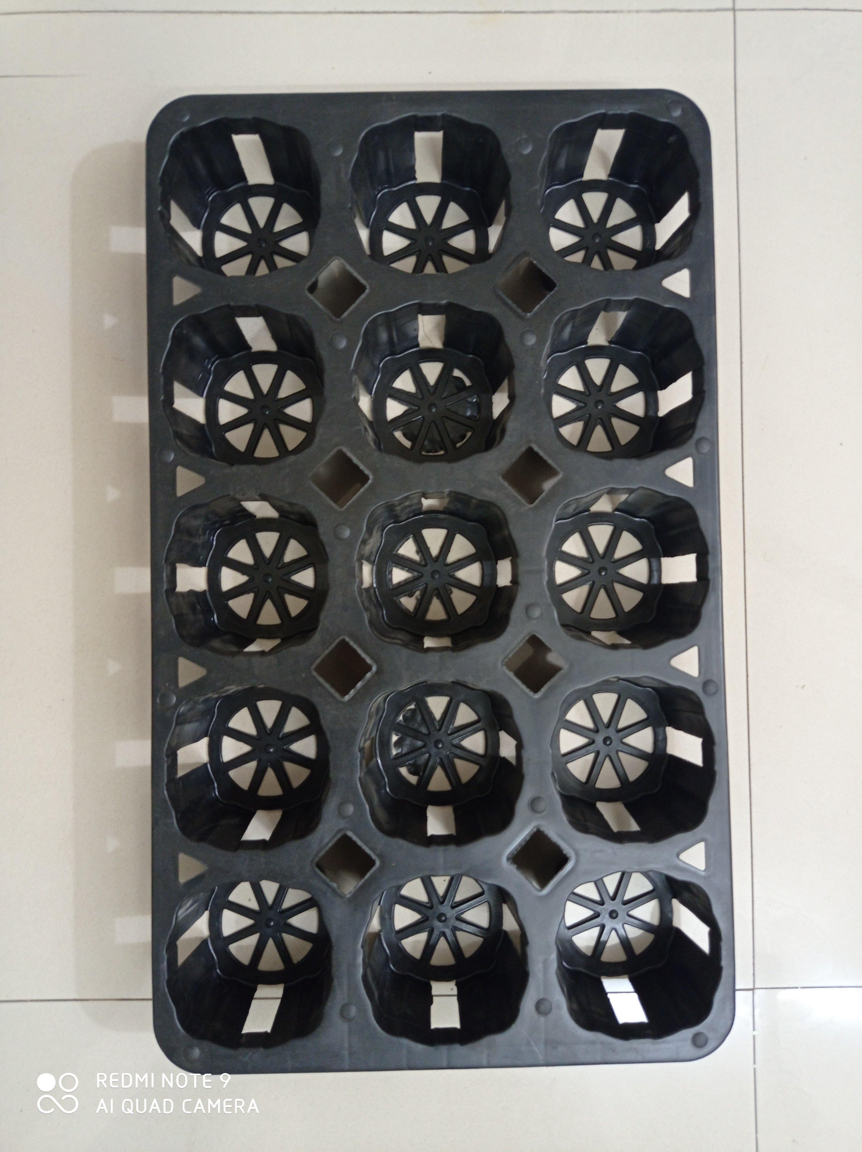Black Round Spacing Tray (15 Cells) – ChhajedGarden.com