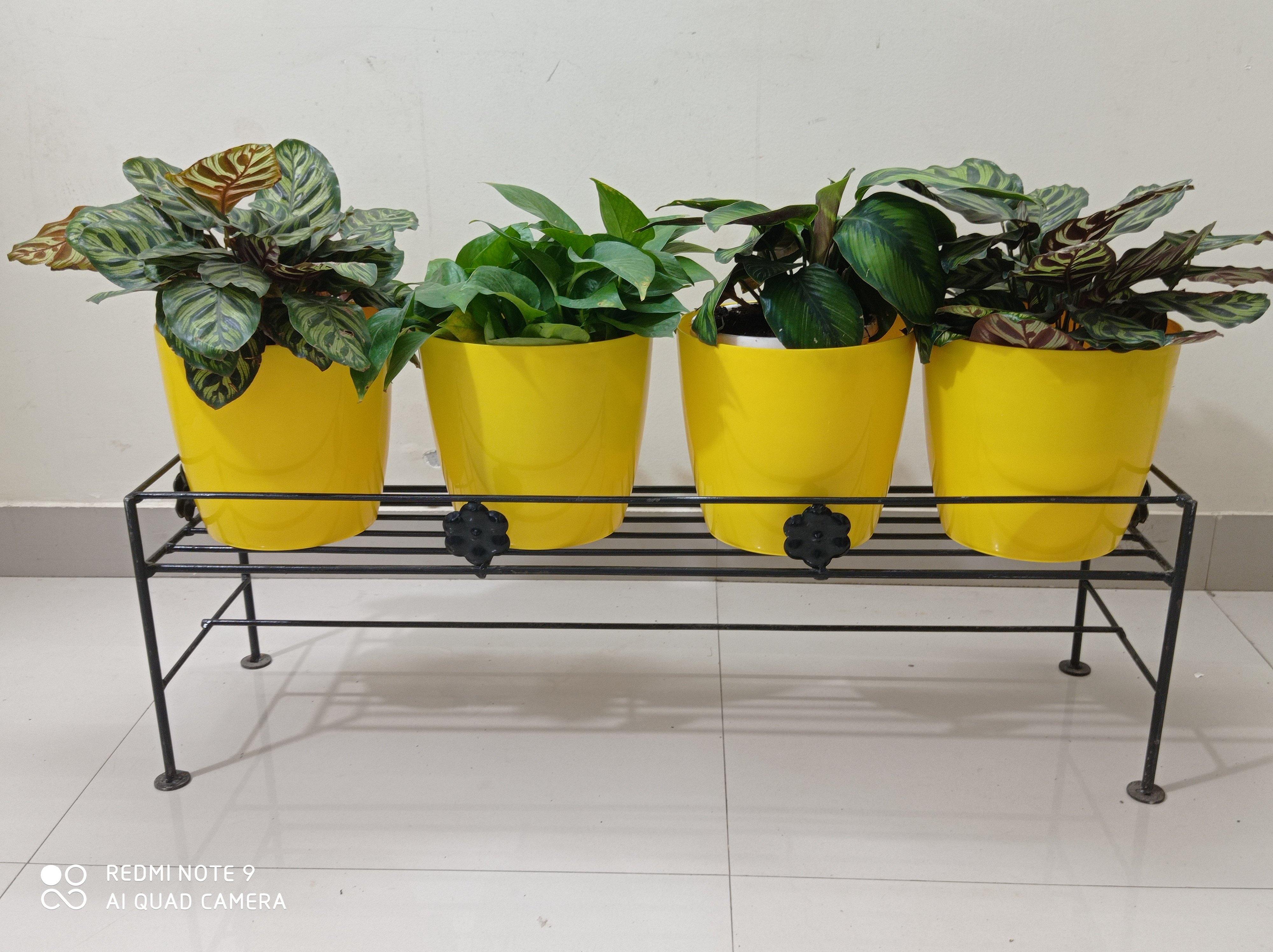 Single Step Stand for Flower Pot | Pot Stand Online in India ...