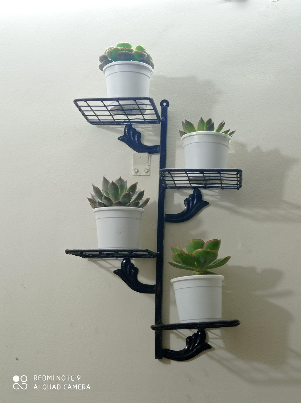 Wall Mounted Wrought Iron Pot Stands – ChhajedGarden.com