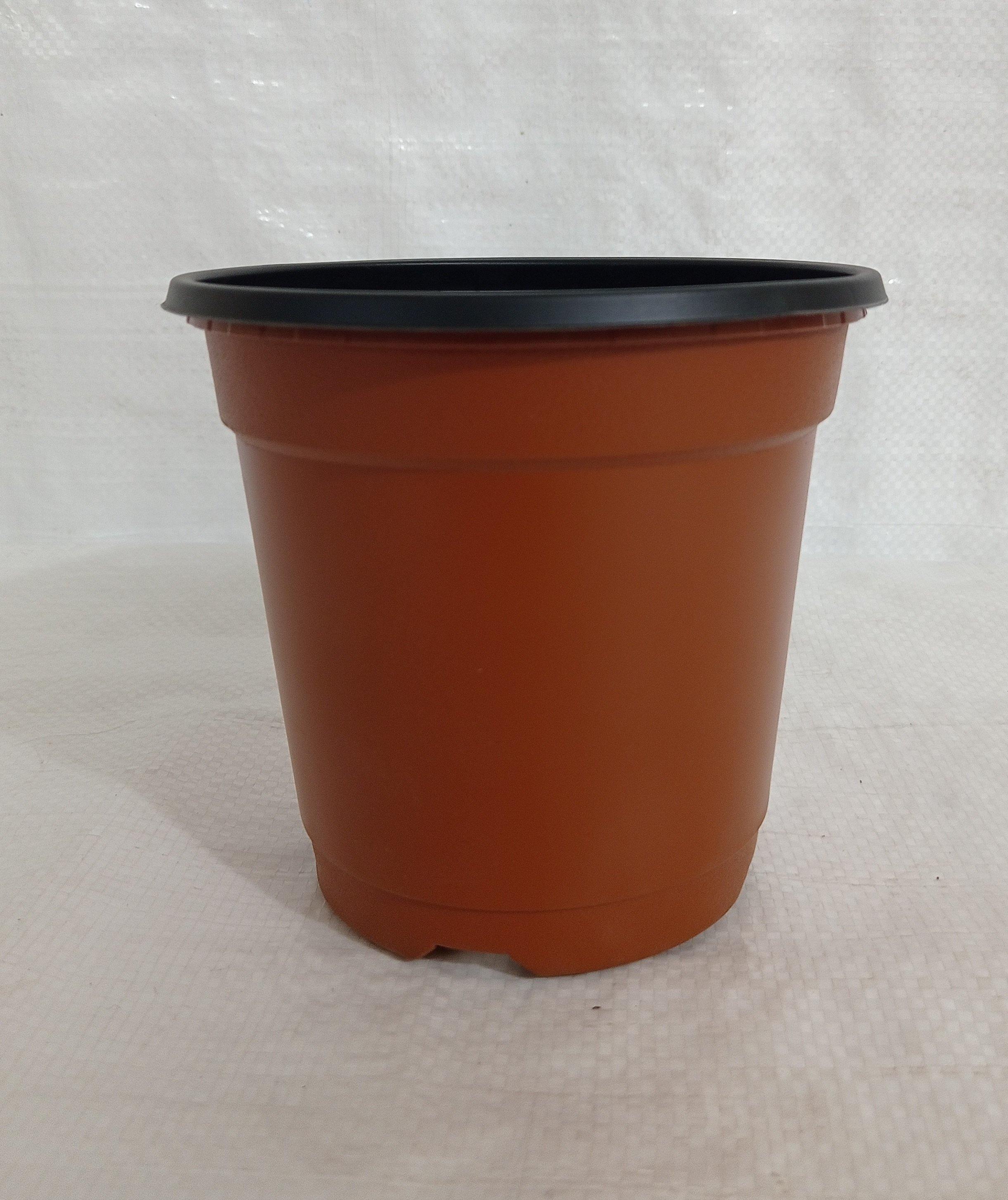 Thermoformed Pots (140 x 126 mm) (Pack of 6, Terracotta Color ...