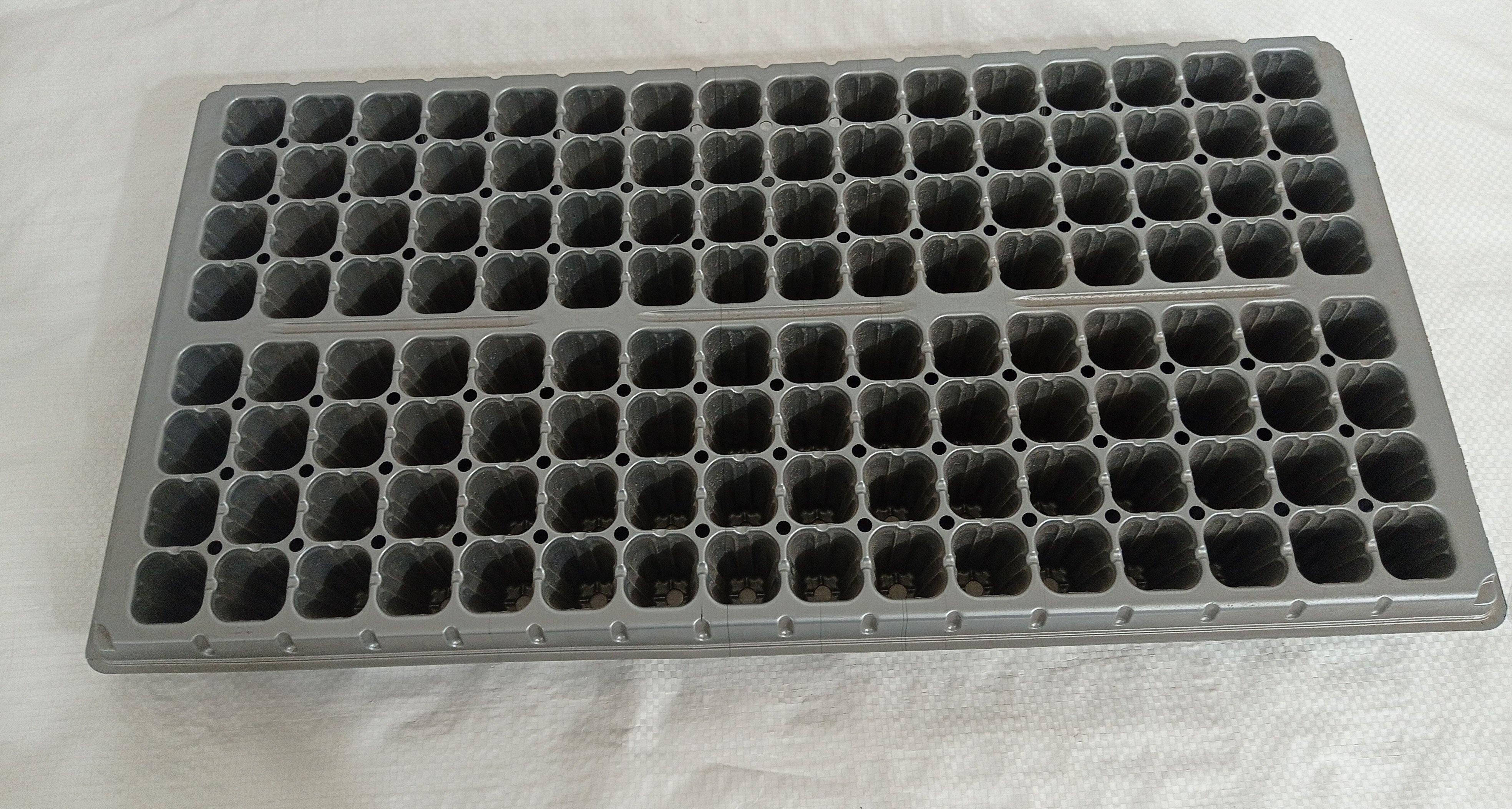 Seedling Tray Square 128 Cells (Pack of 12) – ChhajedGarden.com