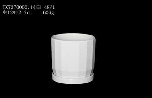 Buy White Ceramic Pot with Plate | Perfect Indoor Garden Accessory ...