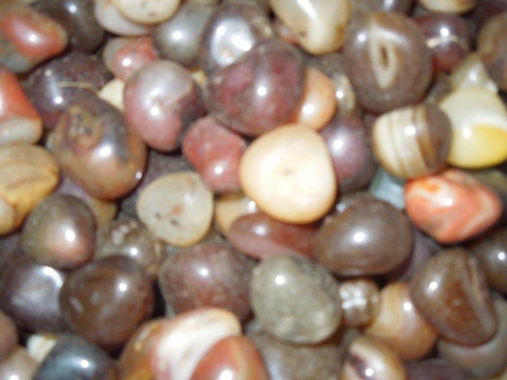 Pebbles Mix Color – ChhajedGarden.com